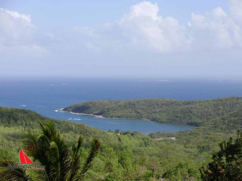 Tartane et la presqu'île de la Caravelle - Martinique | Régis Guillemot ...